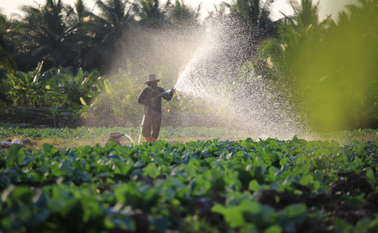 Managing water resources in agriculture can ensure food and water ...