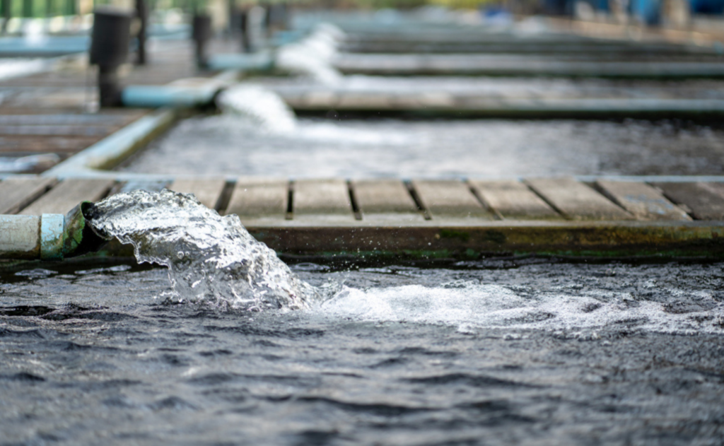 Water security through effective wastewater management: Lessons from ...