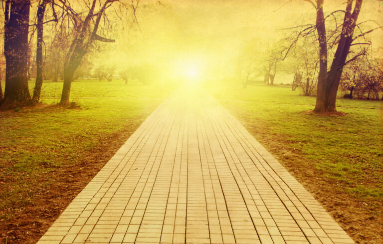 The Yellow Brick Road to Golden Indonesia 2045: Advice for the New ...