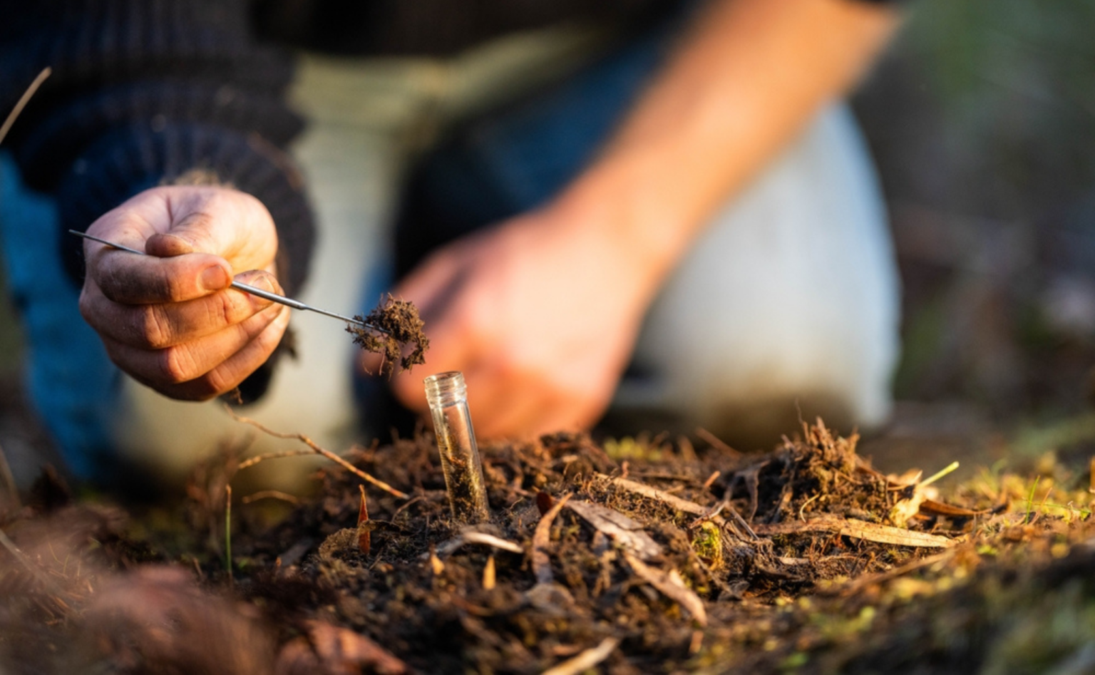 Securing Asia’s Future Through Soil Health: Why It Matters and What ...