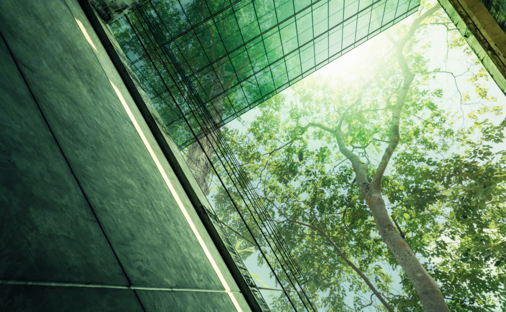 Calling for Quality Infrastructure—Why and How? - Asia Pathways