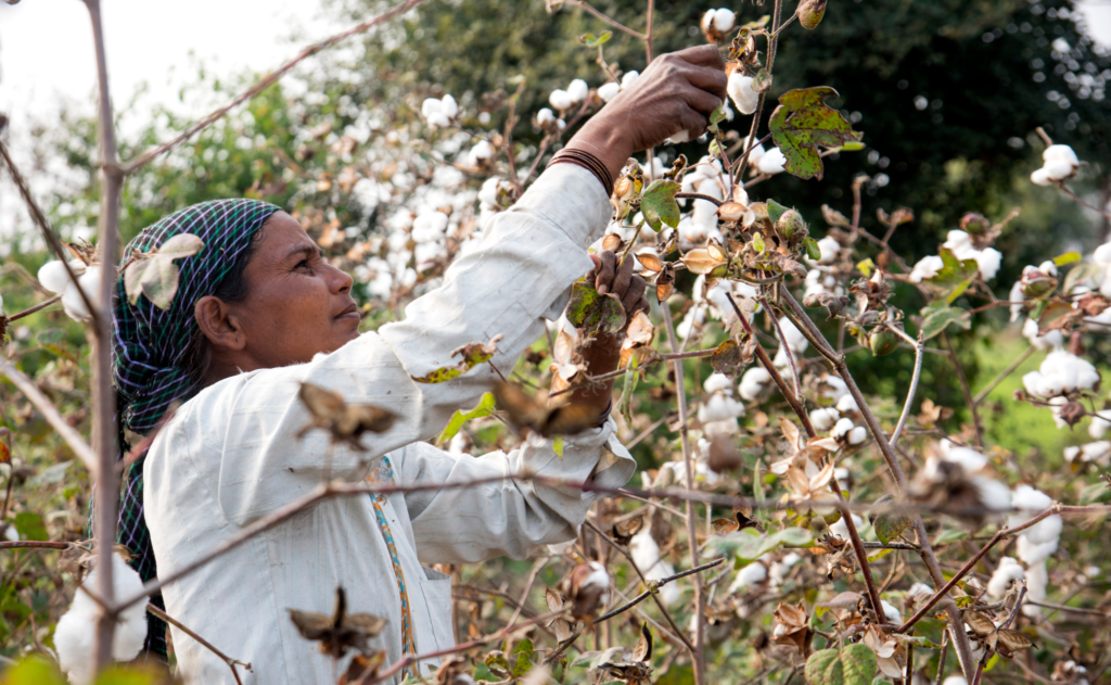 Japan guides the way on smart farming technology adoption - Asia Pathways